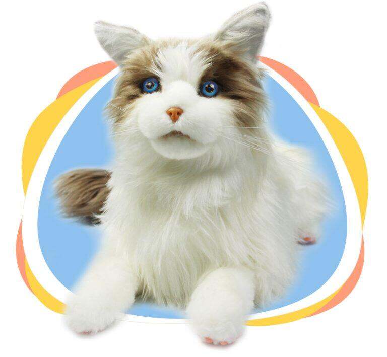 metacat - Elephant Robotics