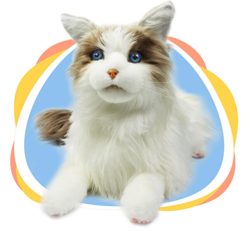 metacat - Elephant Robotics