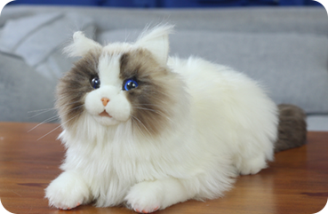 metacat 2023 - Elephant Robotics