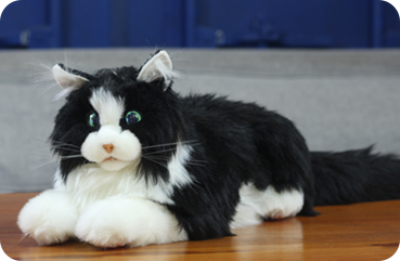 metacat 2023 - Elephant Robotics