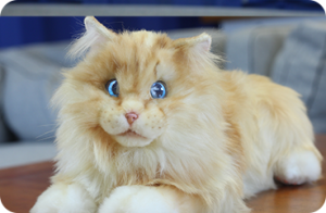 metacat 2023 - Elephant Robotics