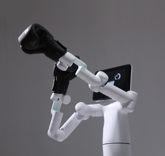 Elephant Robotics: Mercury X1 Wheeled Humanoid – Robot Pi Shop