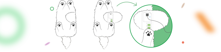 metadog 2024 - Elephant Robotics