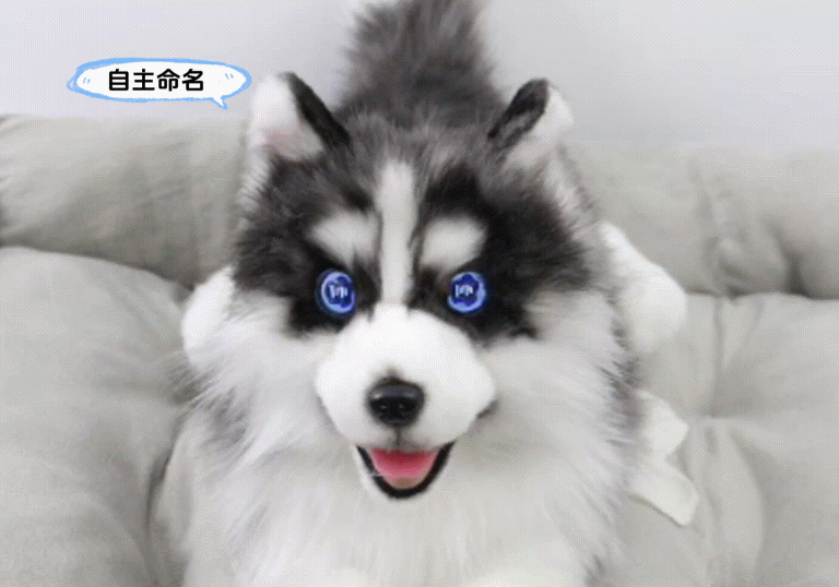 metadog cn 2024 - Elephant Robotics