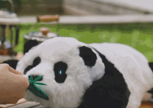 metaPanda 2024 - Elephant Robotics